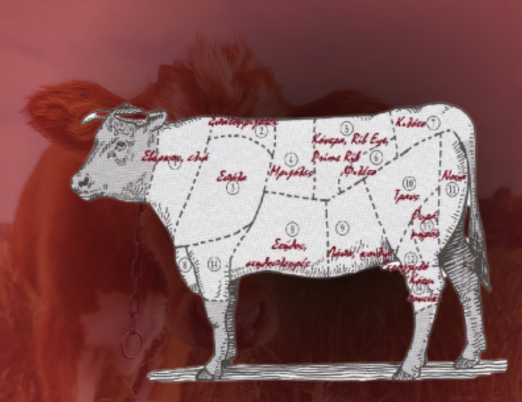 Η ανατομία του μοσχαριού - Κρεοπωλείο Φάρμα Αραμπάνος